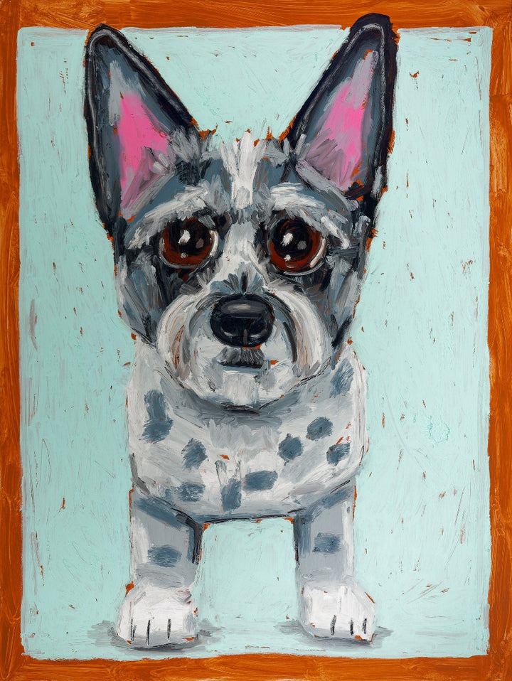 Pet Portraits – Ben Lenovitz