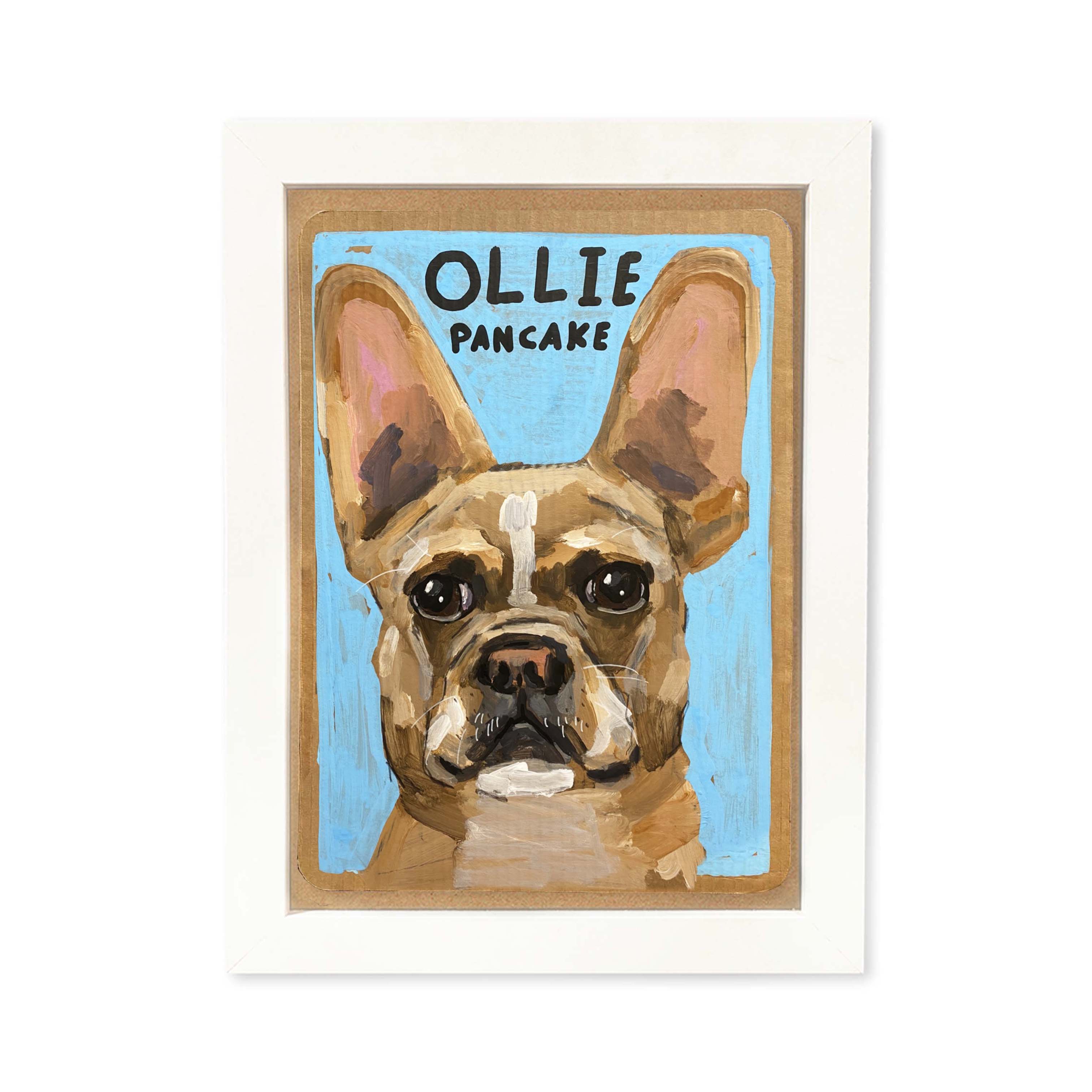 Animal Portraits